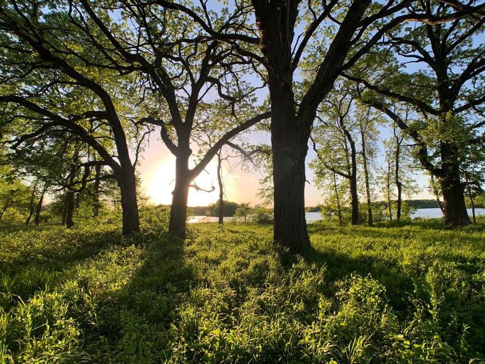 Where To Go Hiking Near Chicago