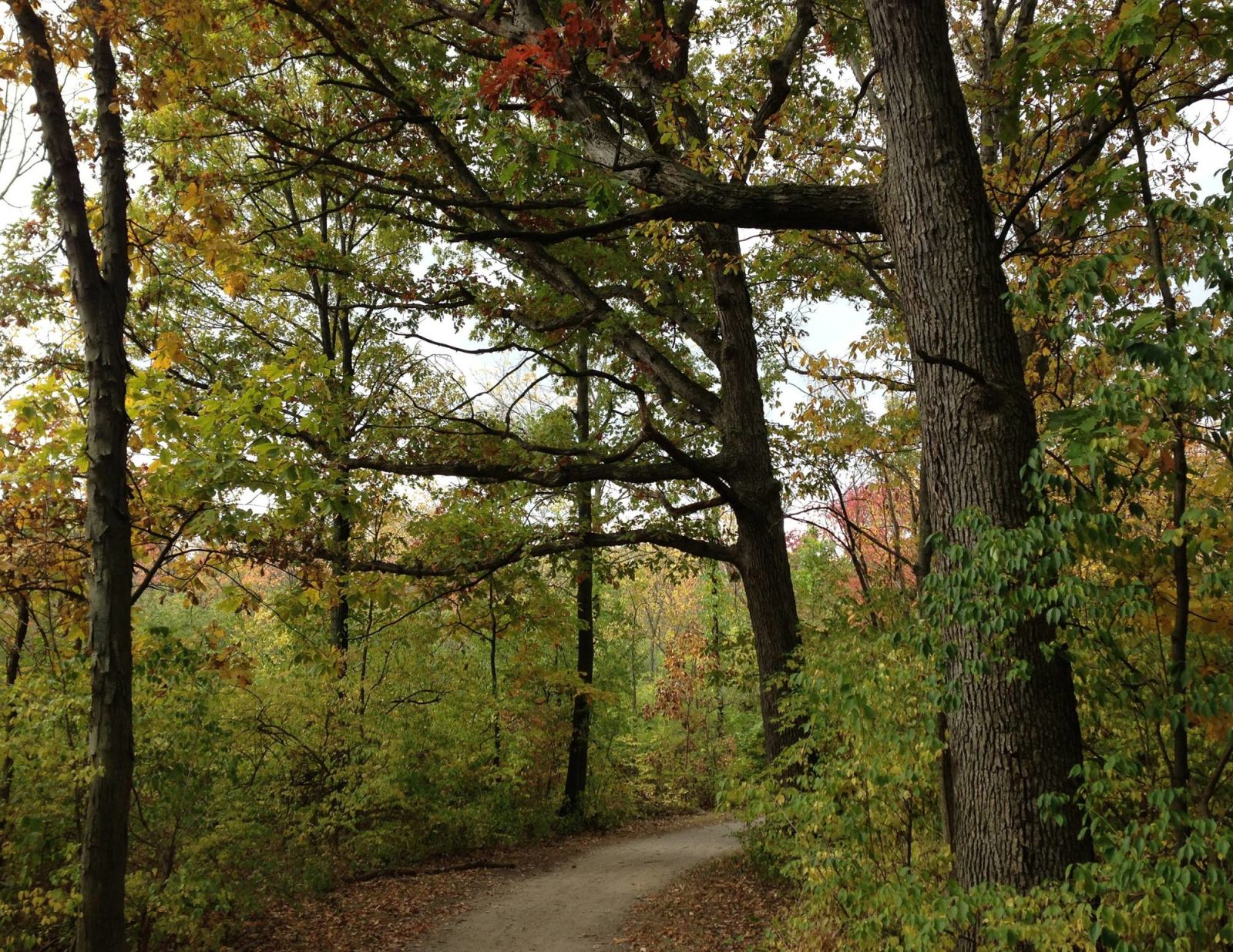Where To Go Hiking Near Chicago