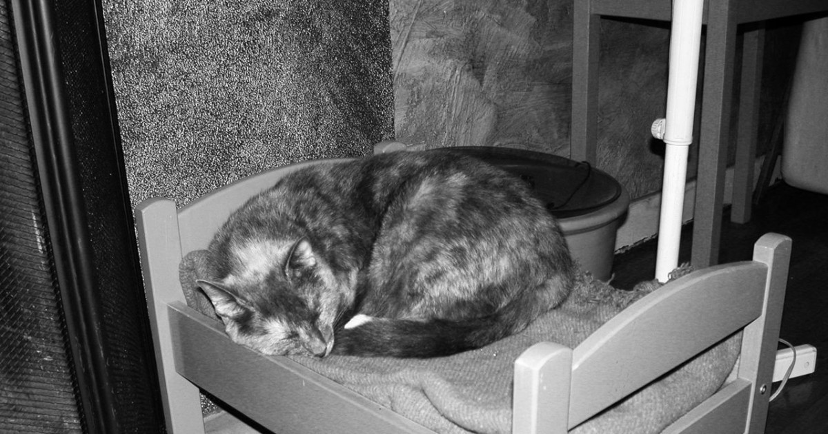 Bedtime Stories - A Storytelling Show in Austin at Barrel O'Fun