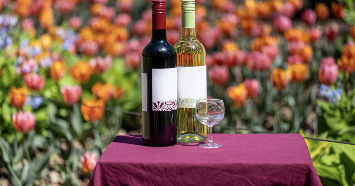 Summer Wine Fest in Chicago at Lincoln Park Zoo