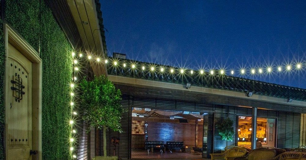 Morning Brews & Views in Los Angeles at Treehouse Rooftop Lounge