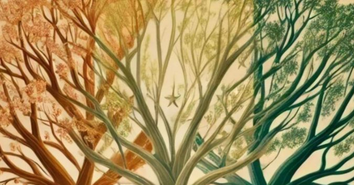 Tree Tales: A Dance Theater Celebration of Native Trees in Austin