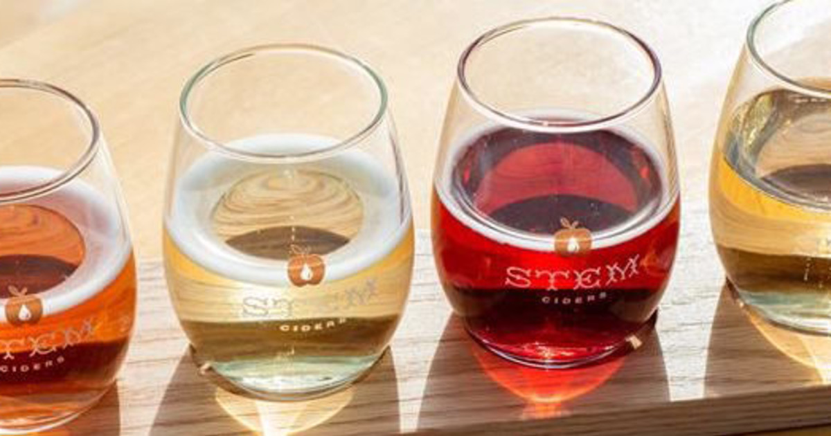 Cider & Charcuterie Pairing in Denver at Stem Ciders