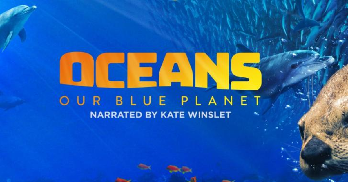 Oceans: Our Blue Planet in Portland at Oregon Museum of Science