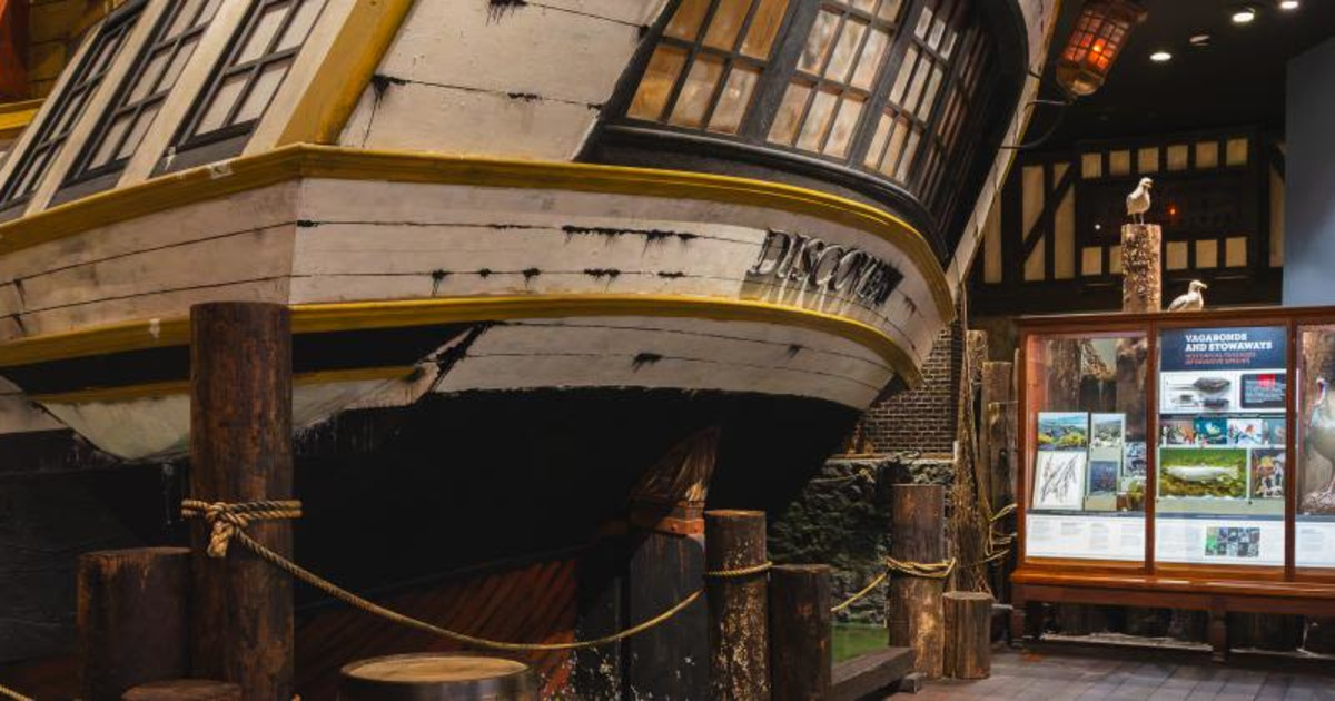 Gallery Highlights Tour in Victoria at Royal BC Museum