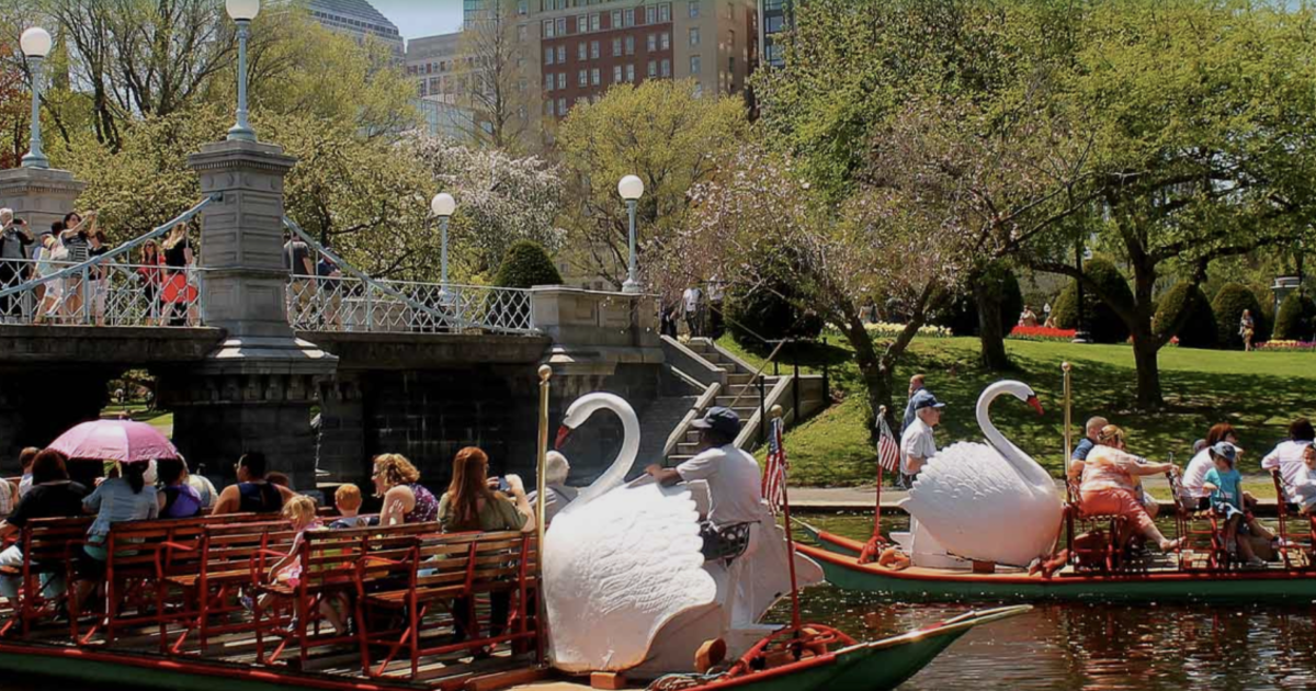 boston swan boat tickets