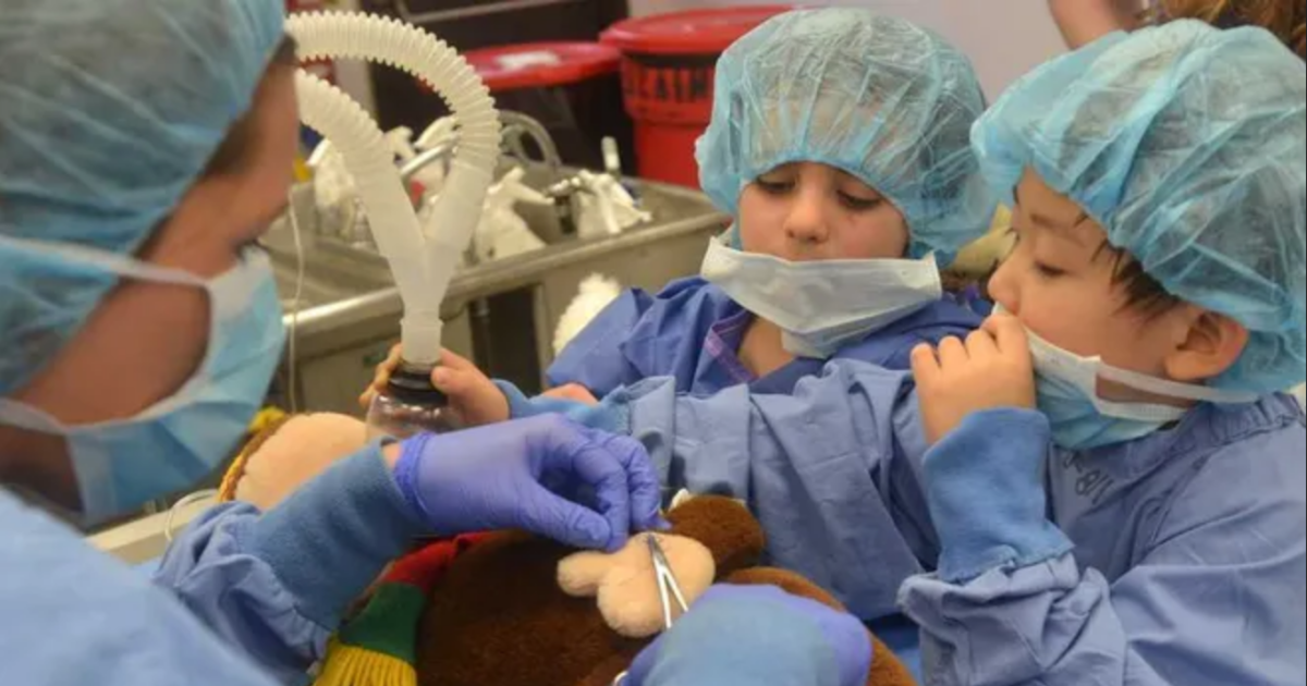 Teddy Bear Surgery in Austin at Austin Humane Society