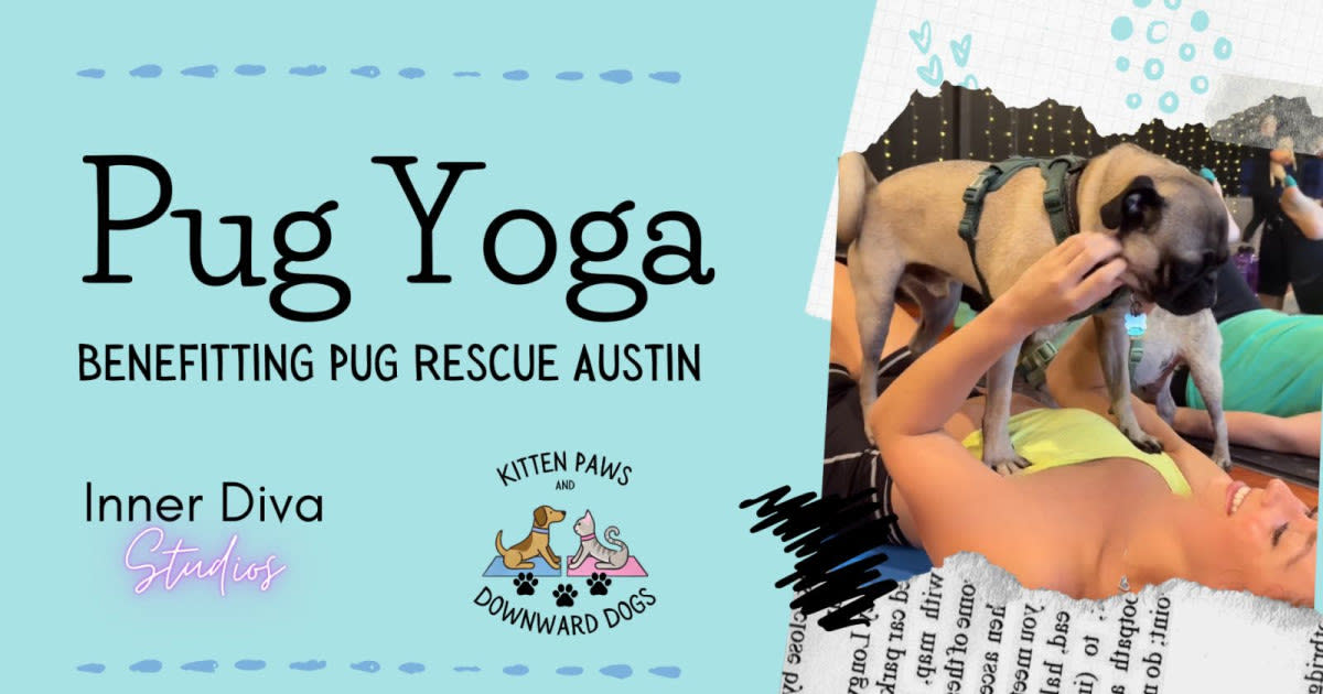 Pug Yoga Benefitting Pug Rescue of Austin in Austin at Inner Diva