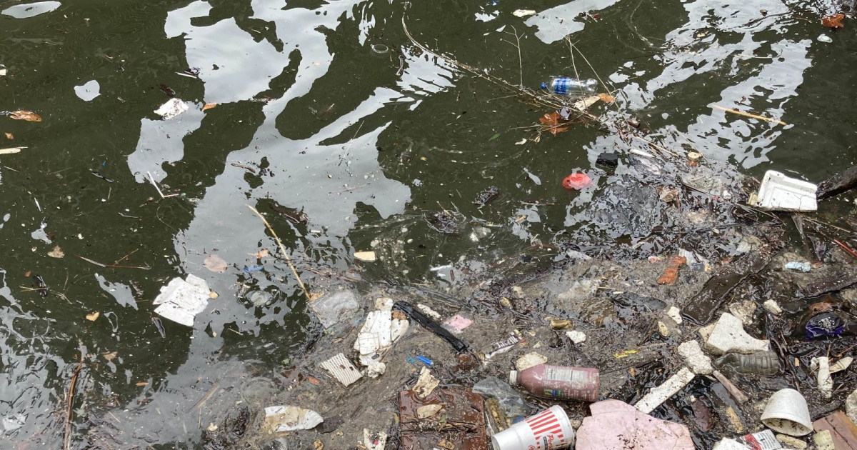 Water Quality and Plastic Pollution - Happy Hour Speaker Series