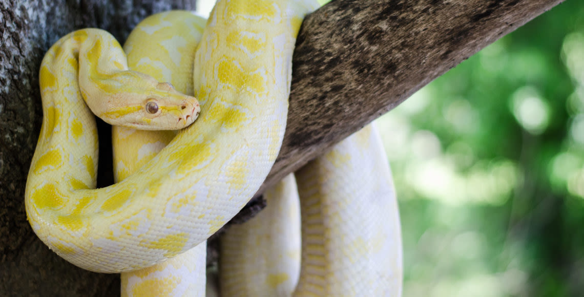 How to Face Your Fears around Austin