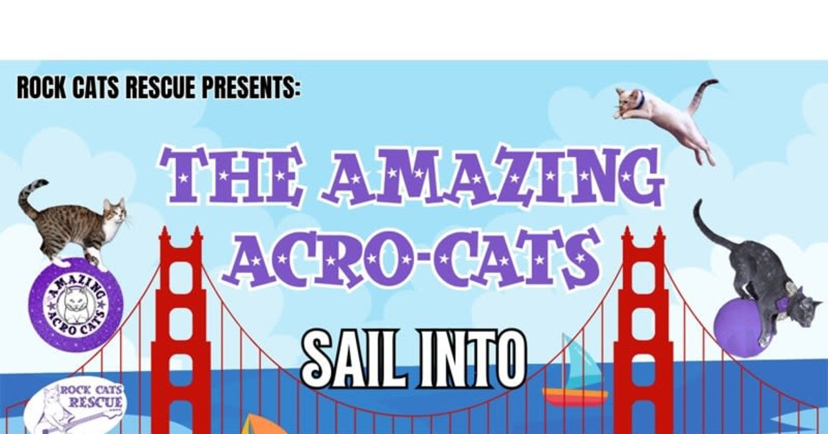 The Amazing Acro-Cats Sail Into San Francisco in San Francisco at