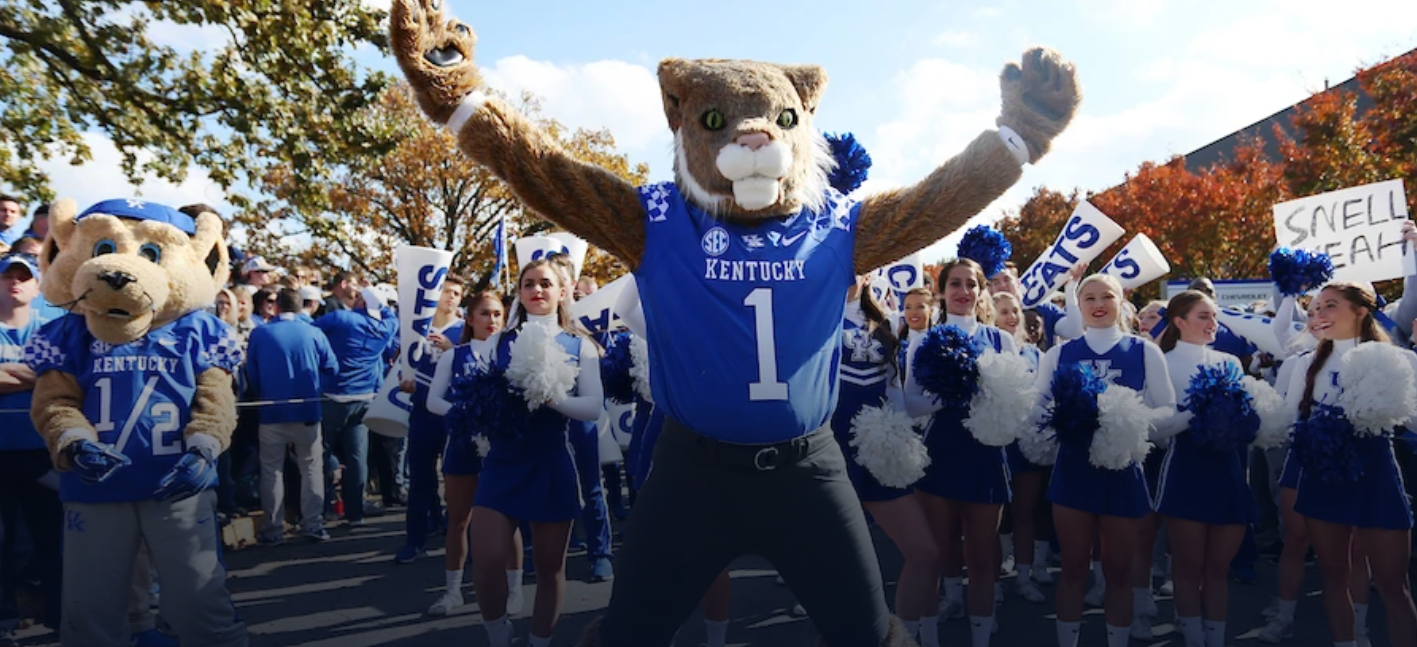 Top Mascots Around The Ville