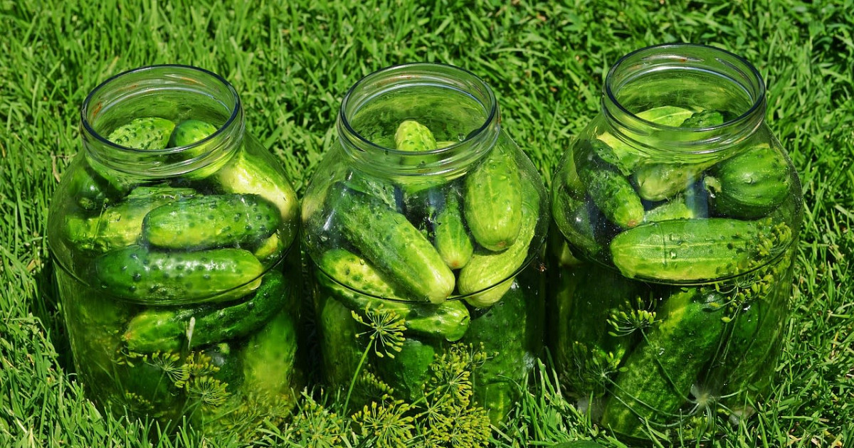TN Pickle Festival in Cookeville at Putnam County Fairgrounds