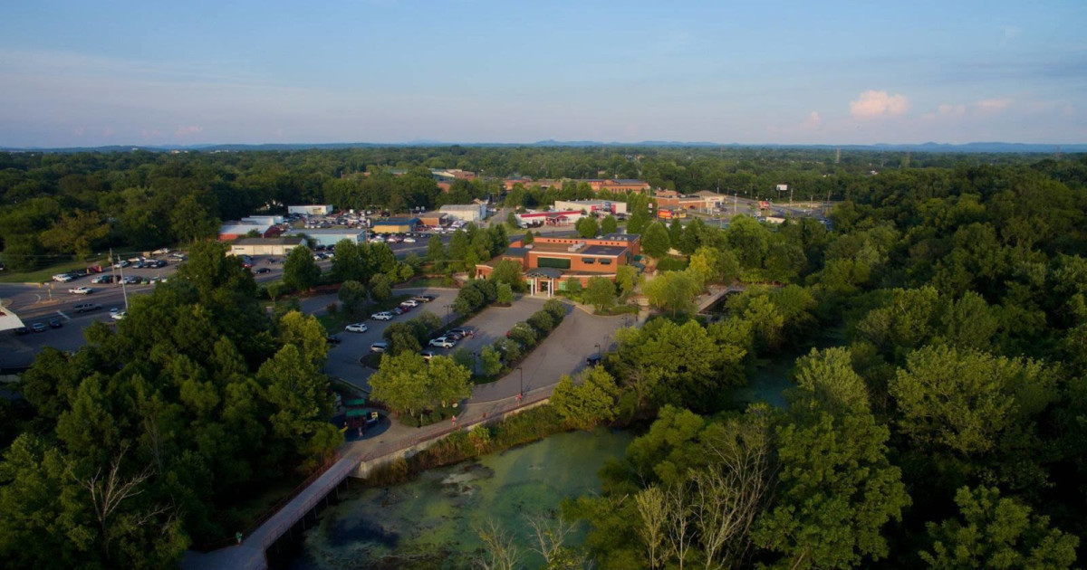 Can a Turtle Shell Heal Itself? in Murfreesboro at The Discovery