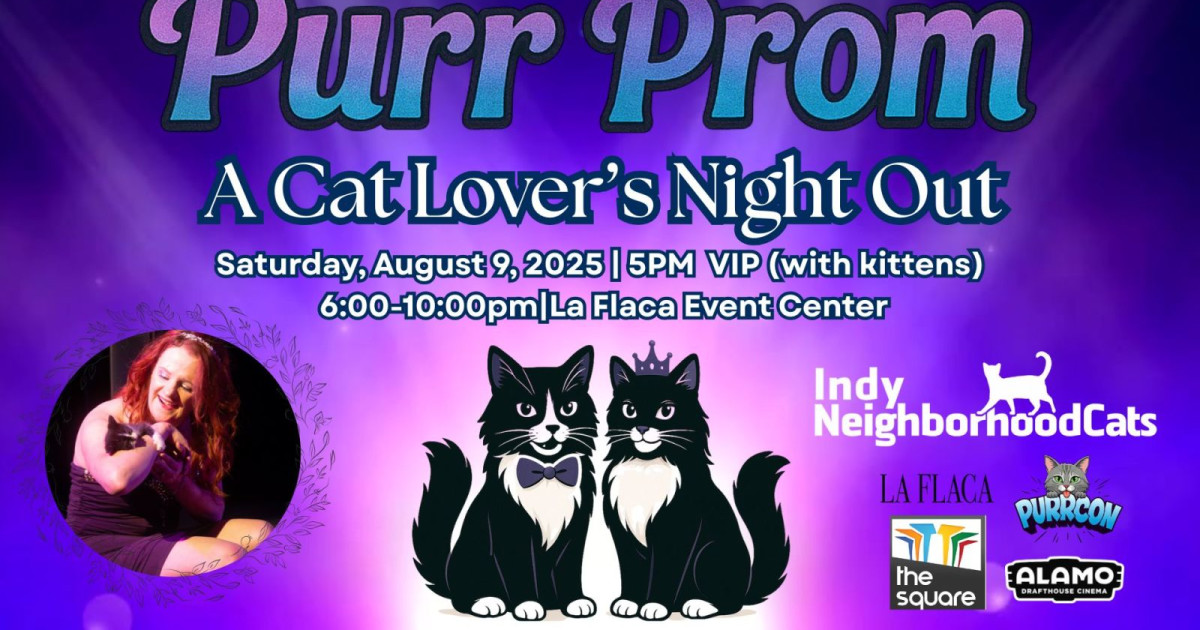 Purr Prom, a fundraising event benefitting Indy Neighborhood