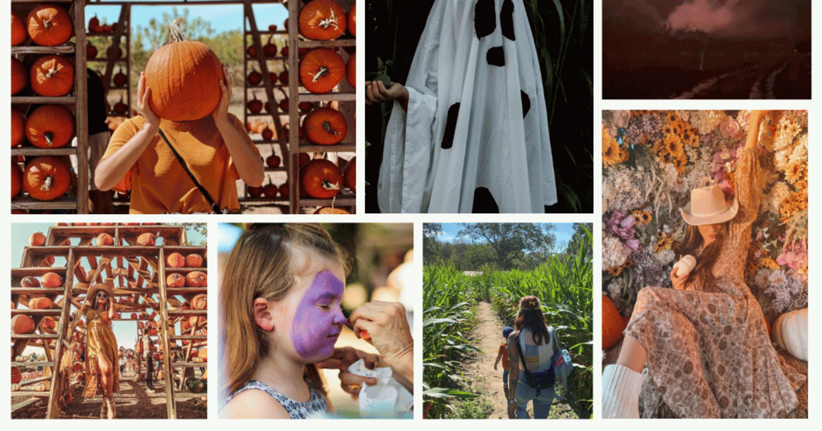 Georgetown Fall Festival in Georgetown at Sweet Eats Fruit Farm