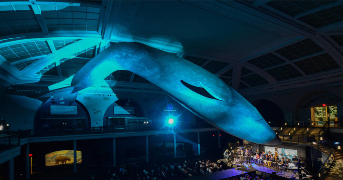 Moby-Dick in Boston at Loeb Thrust