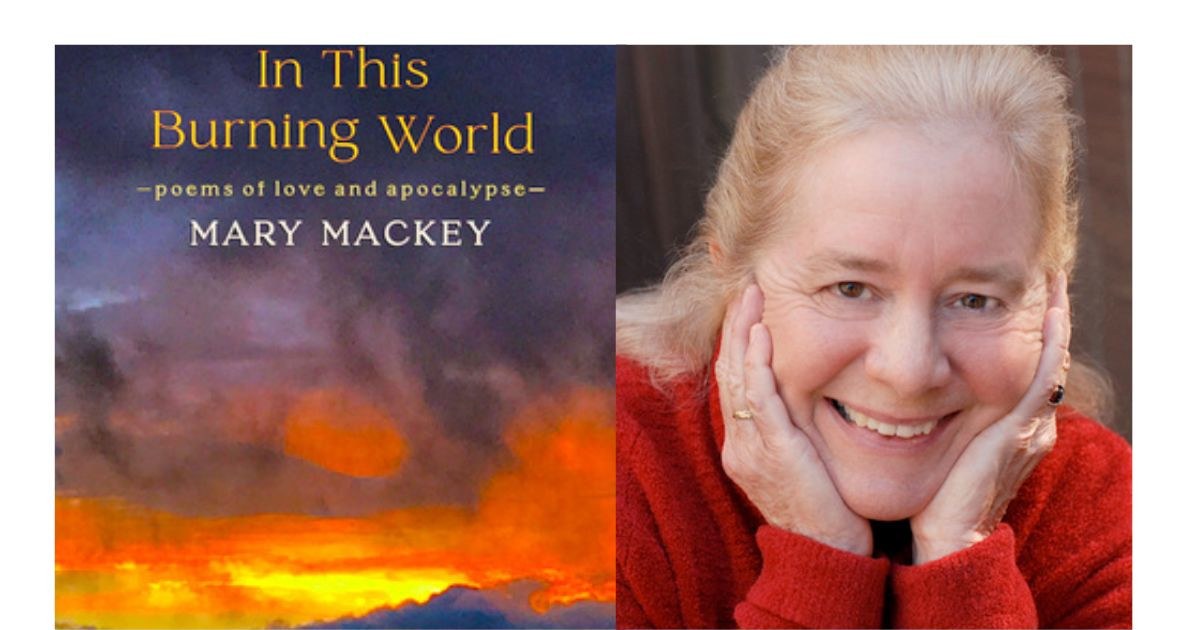 Mary Mackey - In This Burning World: Poems of Love and Apocalypse