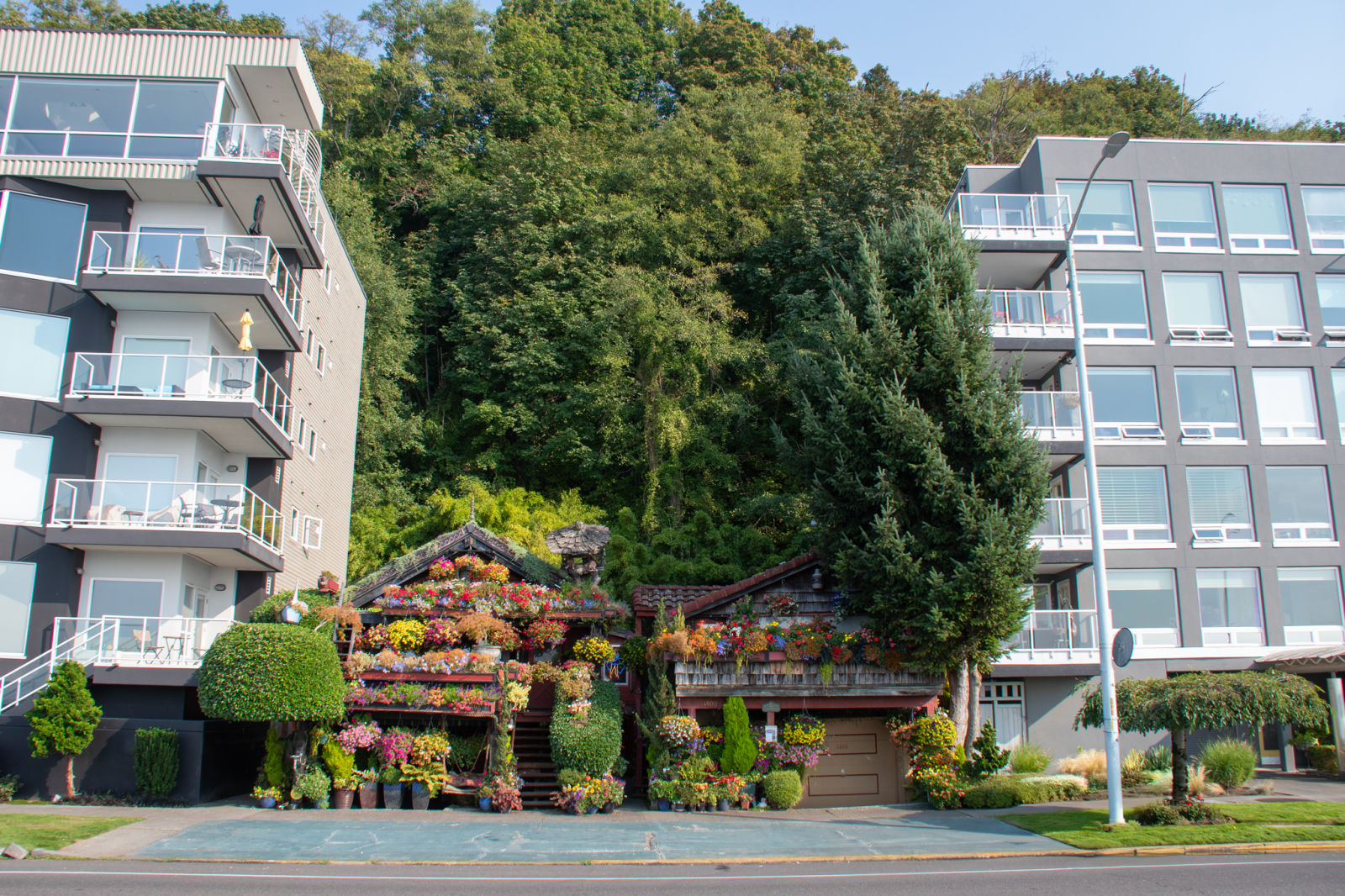 Seattle Highlights: Alki Flower Houses