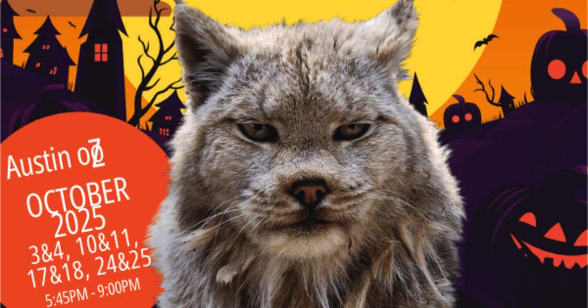 Boo At The Zoo in Austin at Austin Zoo & Animal Sanctuary