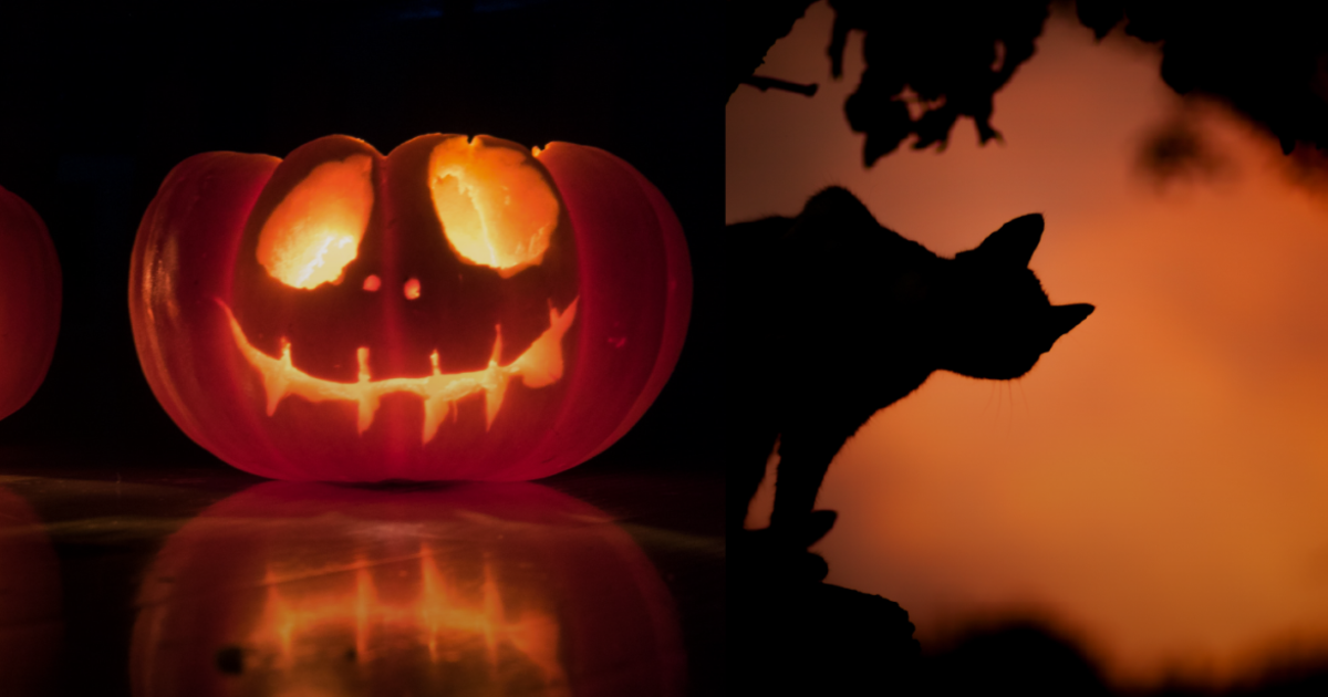 Trunk or Treat in Austin at Hill Country Galleria