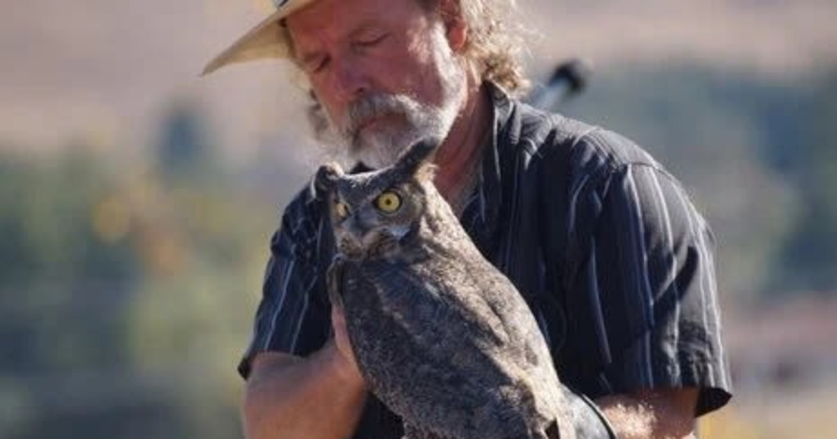 Raptor Fest at Rancho San Vicente! in San Jose at Rancho San
