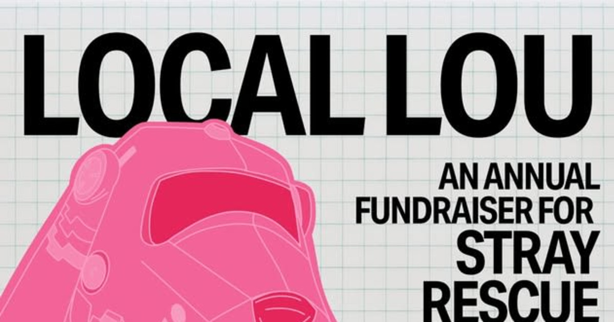 Local Lou Benefit Show w/ Young Animals, Direct Measure, Inner