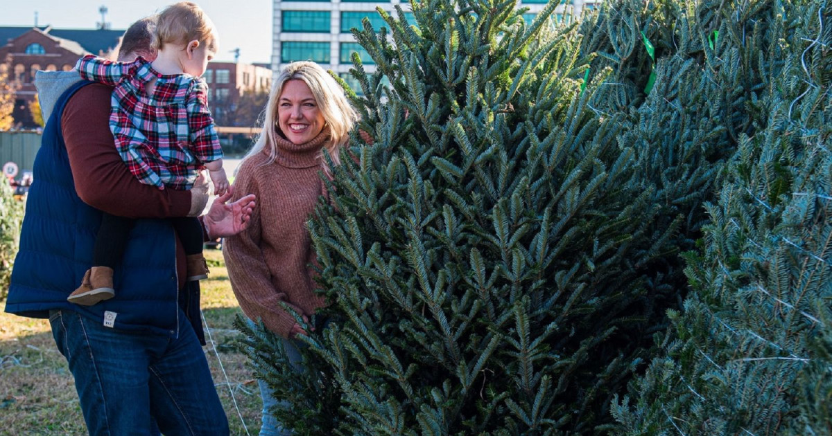 Christmas Tree Lane in Louisville at Waterfront Park