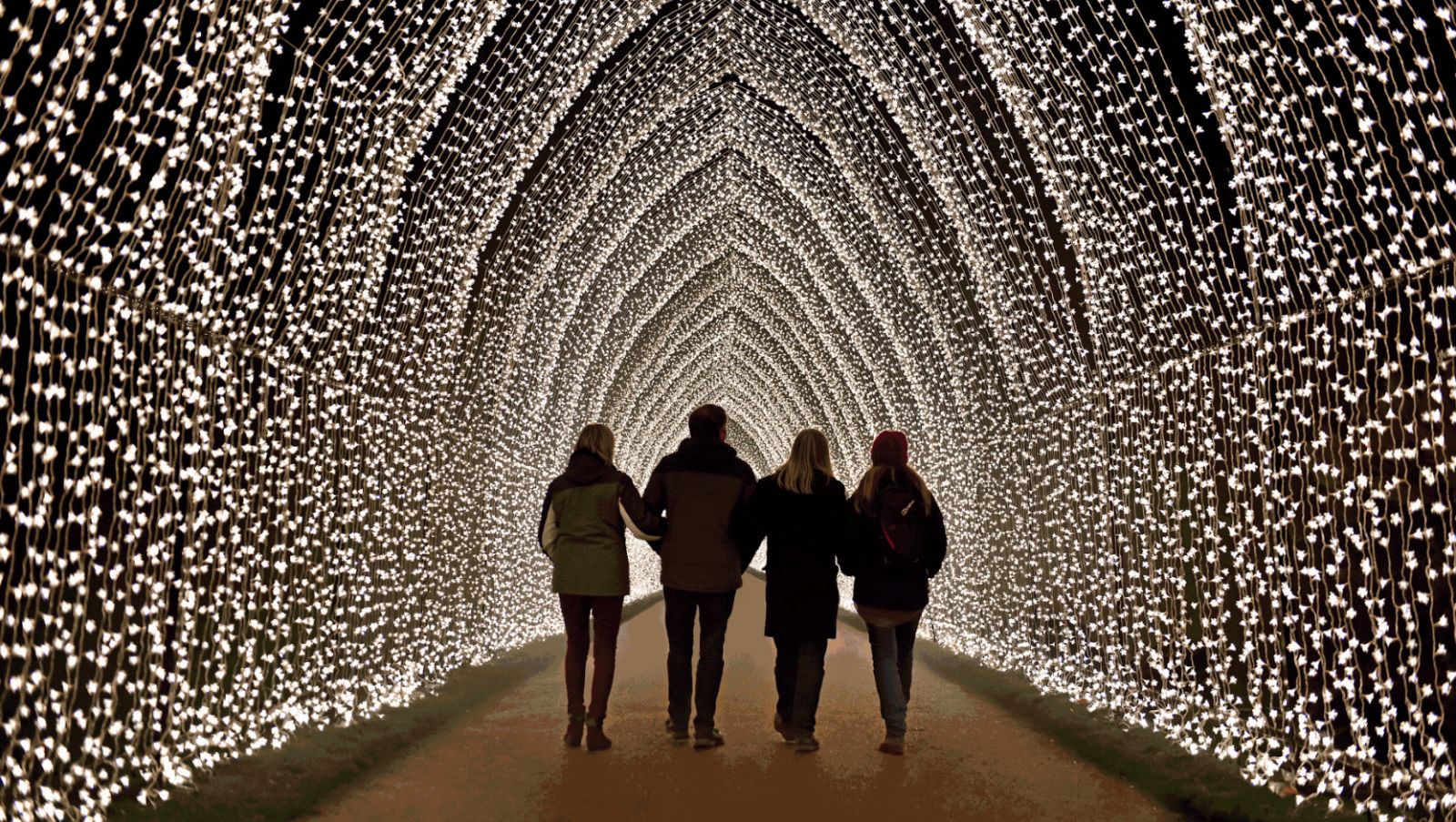 Lightscape in San Francisco at San Francisco Botanical Garden