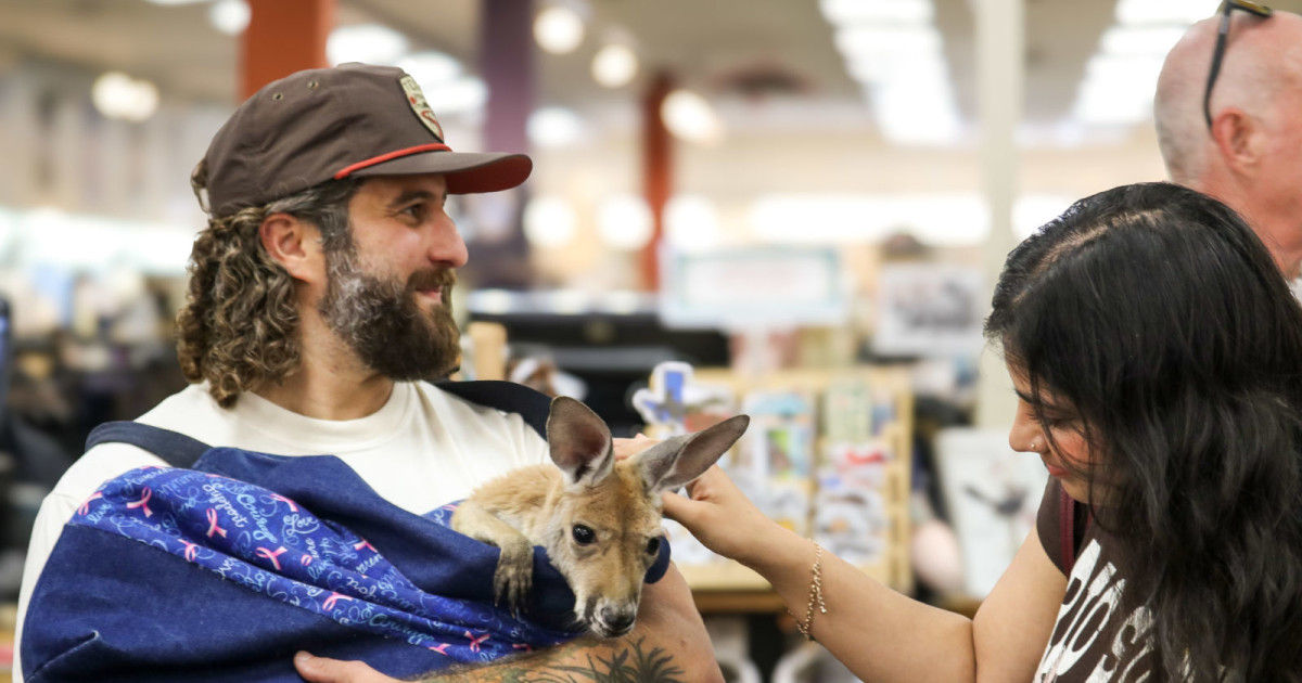Bring the Outdoors In + Sip & See in Austin at Whole Earth Provision
