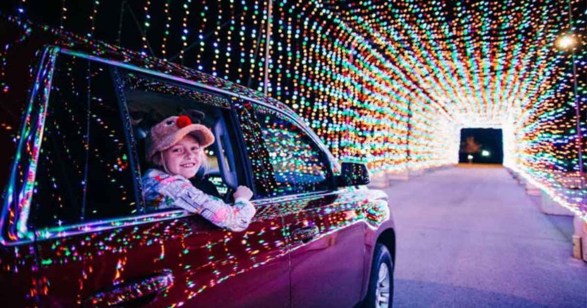 WonderLight’s Christmas in Madison at World Wide Technology