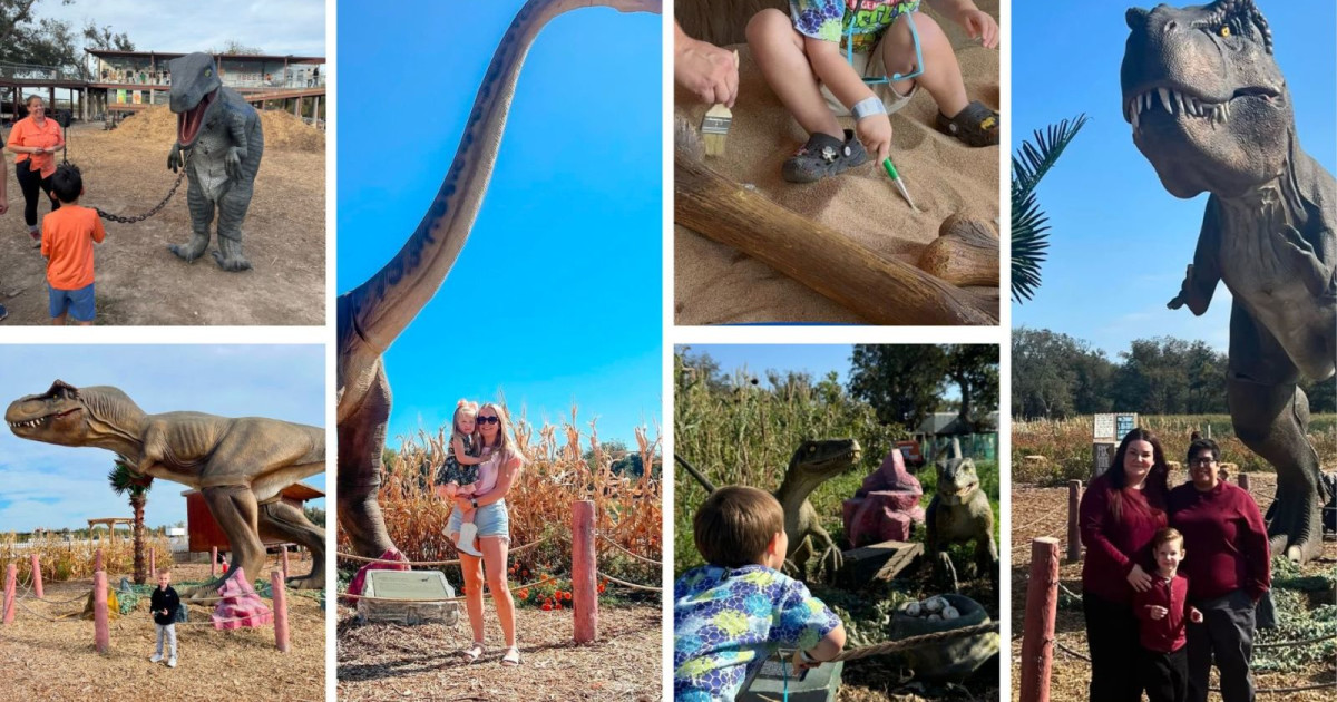 Jurassic Jamboree Dinosaur Festival in Georgetown at Sweet Eats