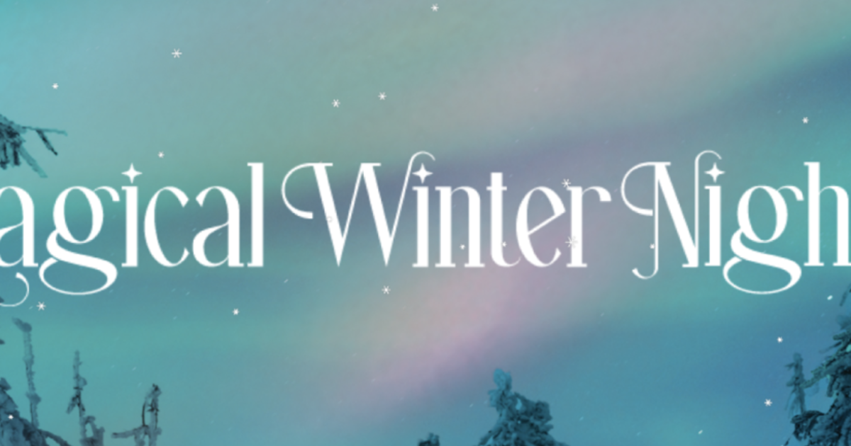 Magical Winter Nights in Denver at Denver Museum of Nature and