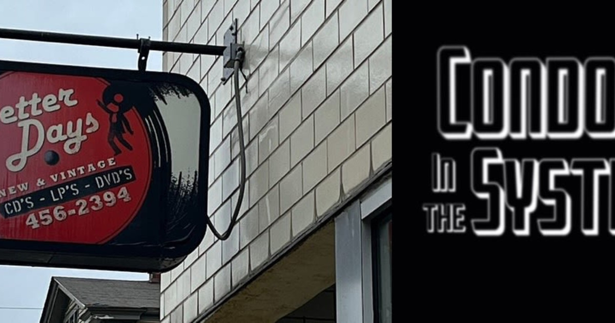 Condors in the System in-store Record store day Black Friday in