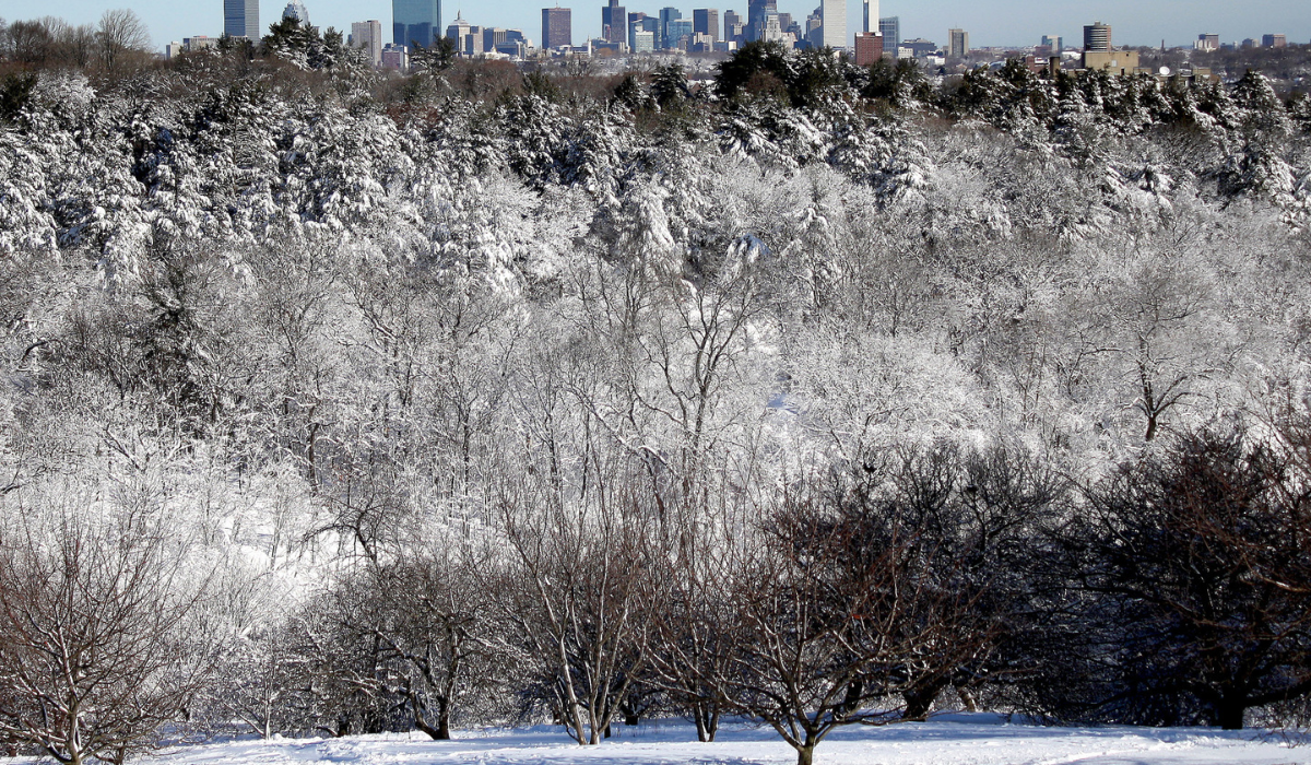 Best Sledding in Boston