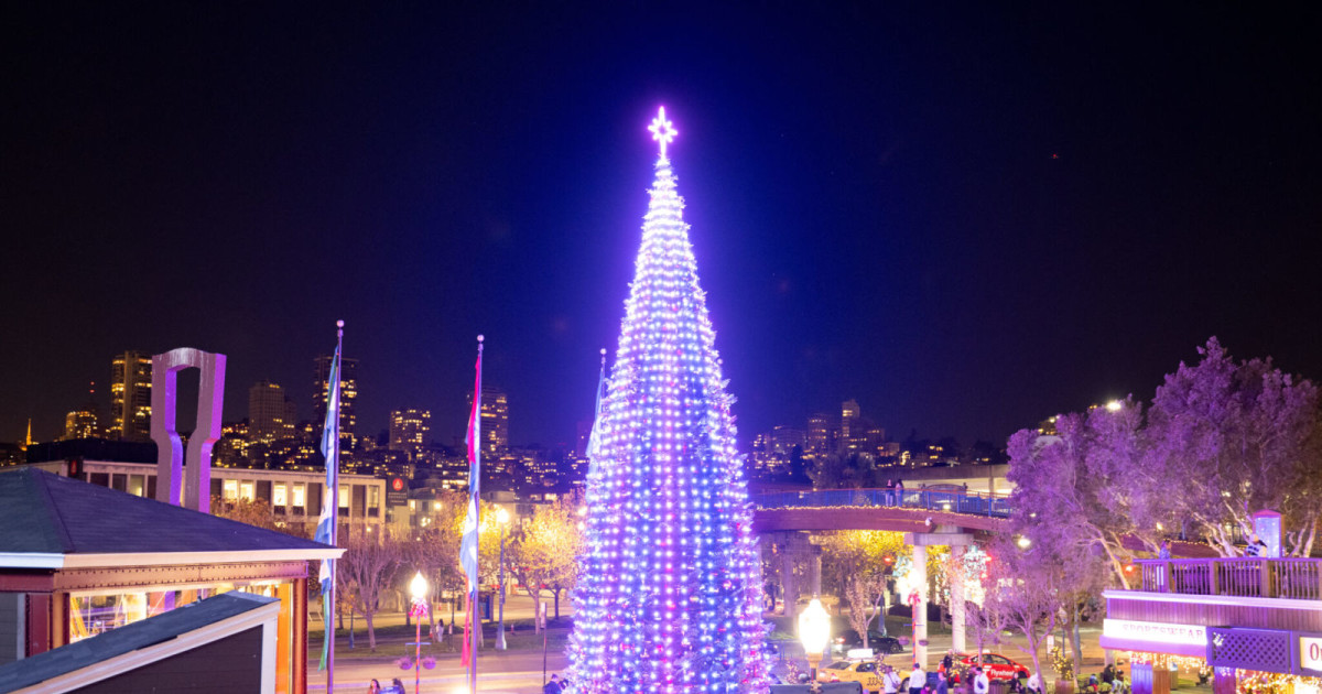 The PIER 39 Performing Christmas Tree in San Francisco at PIER 39