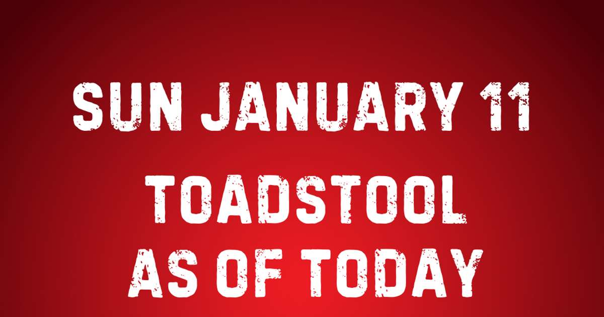 Toadstool w/ As of Today, Third Turn + Rose Cold in Denver at