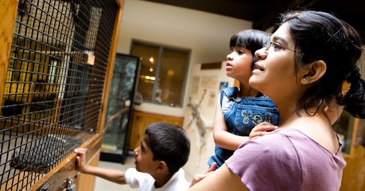 “Bone” Appetit in River Forest at Cook Country Forest Preserve