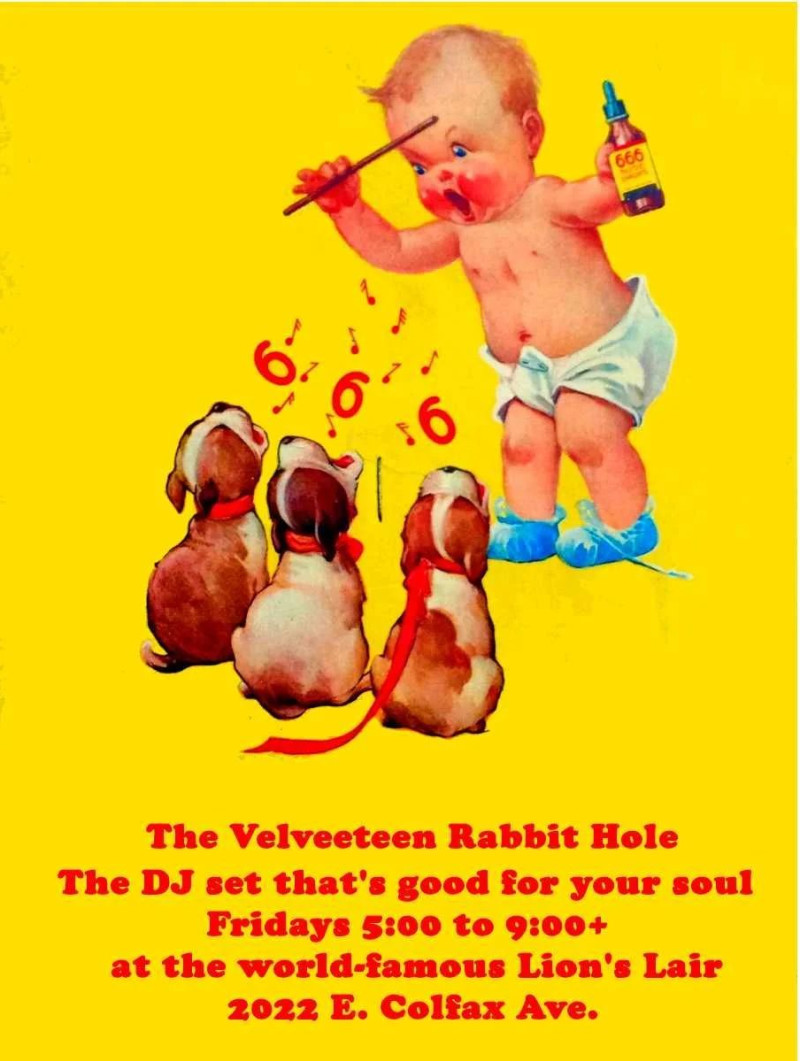 The Velveeteen Rabbit Hole DJ in Denver at Lion's Lair