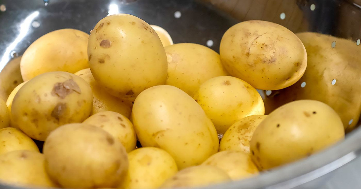 Hands-on Cooking | Potatoes Three Ways in Glencoe at Chicago