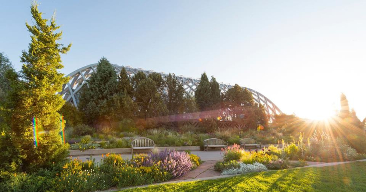 Arts Ecosystem Tour: MCA Denver in Denver at Denver Botanic