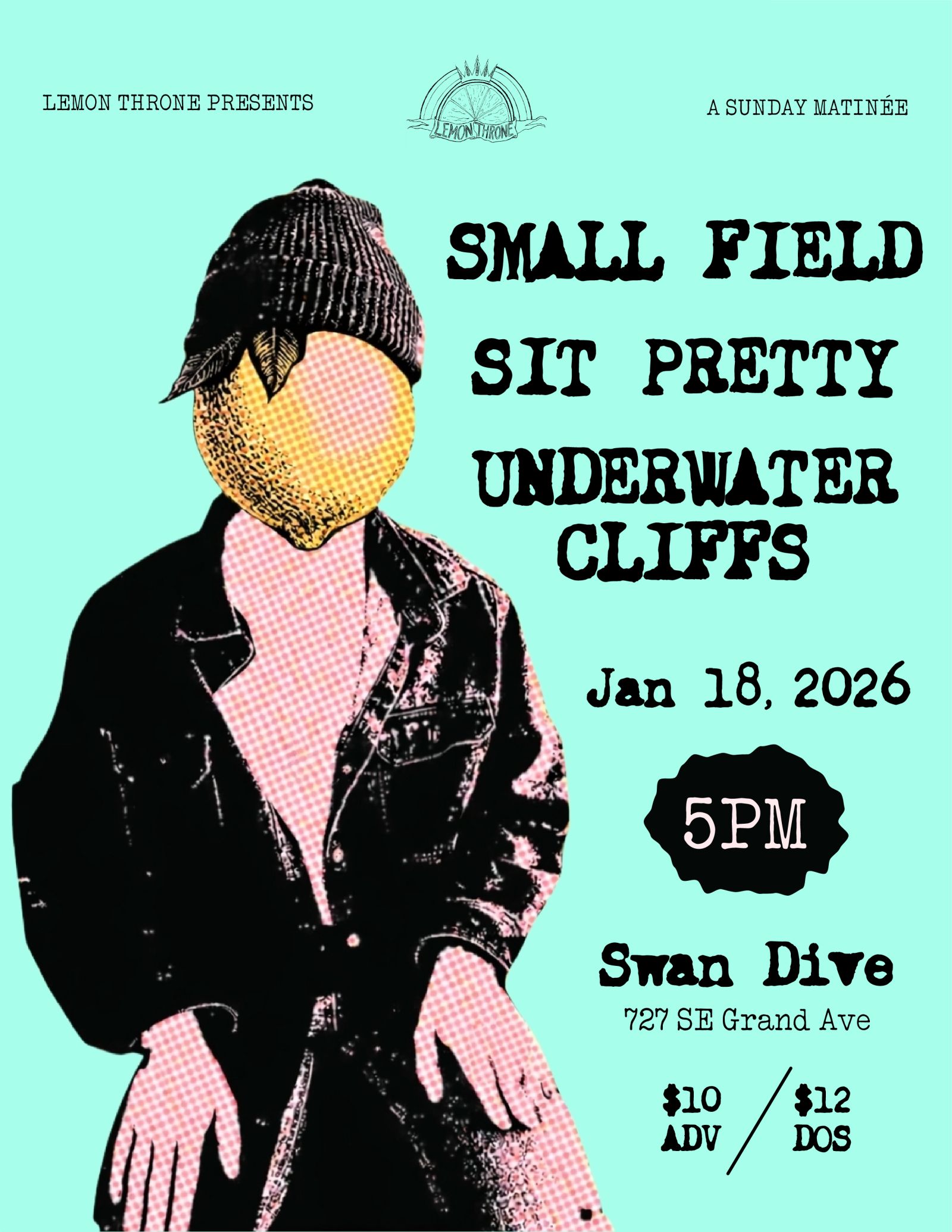 Small Field + Sit Pretty + Underwater Cliffs in Portland at Swan