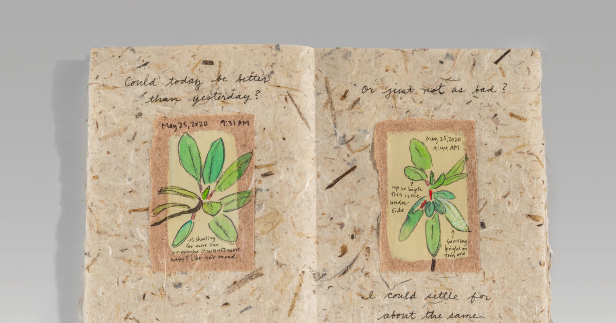 Spring 2026: Inside the Exhibitions in Bainbridge Island at