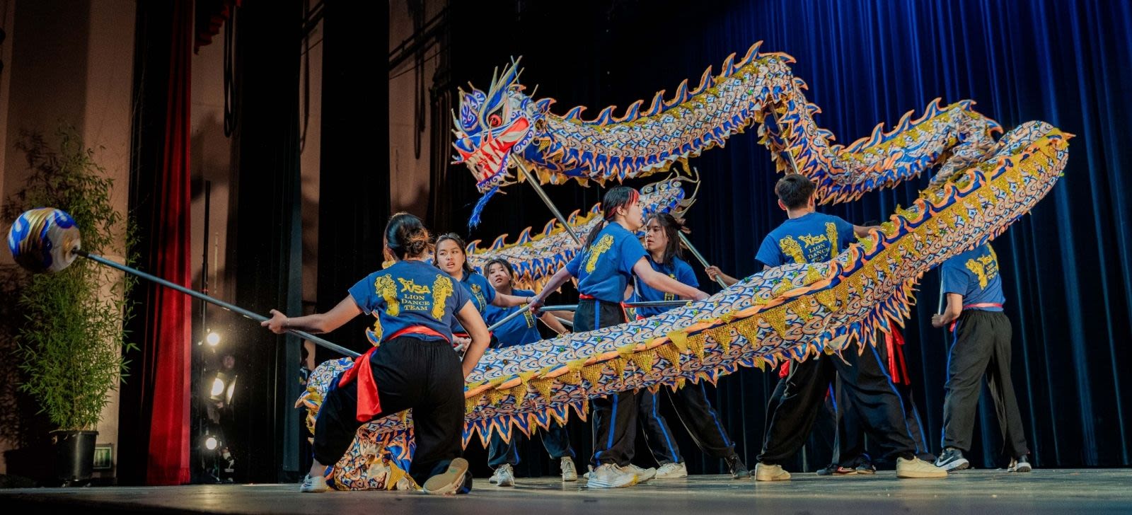 Vietnamese Tet Celebration: Dragon Dancing in San Francisco at