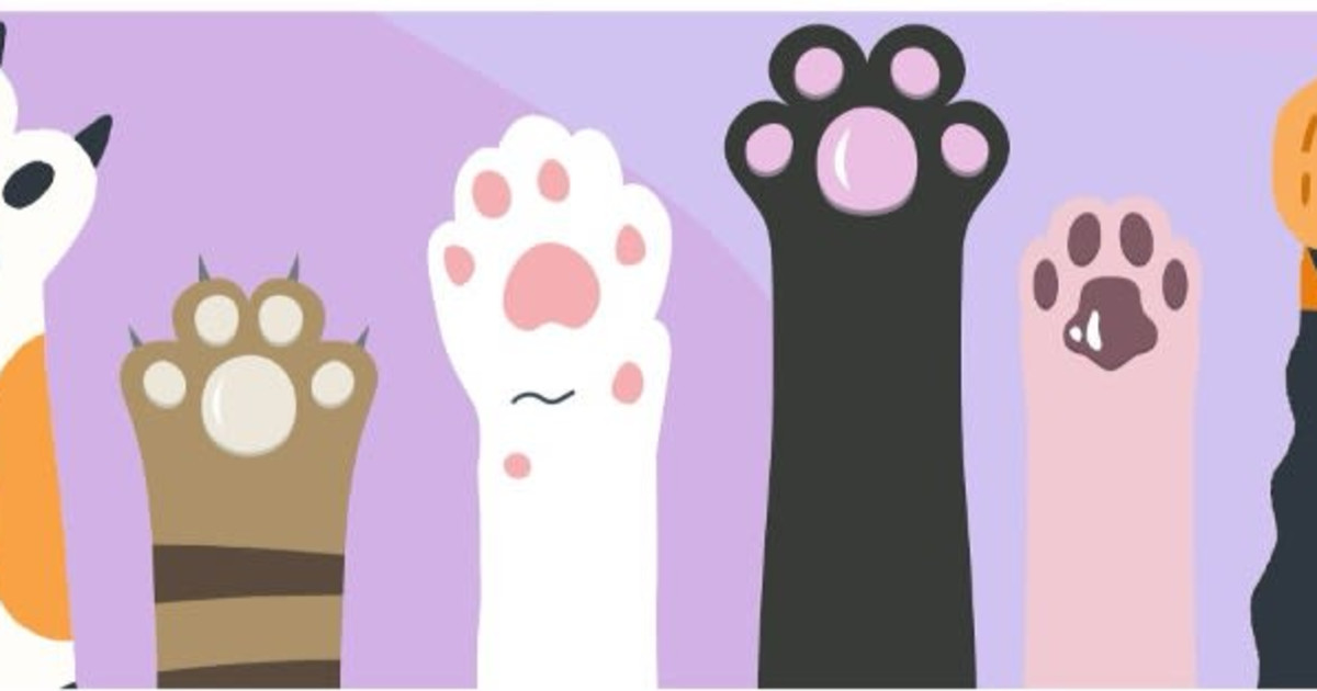 Purrfect Match: A Valentine’s Day Cat Adoptathon in La Jolla at