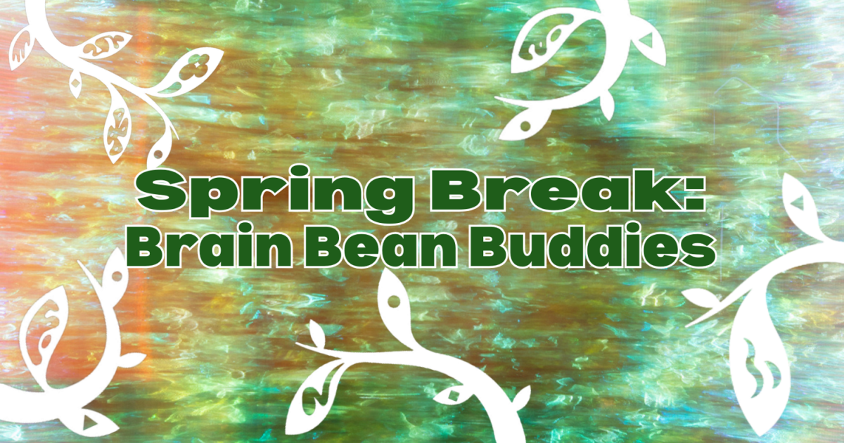 Spring Break - Brain Bean Buddies in Grapevine at Meow Wolf