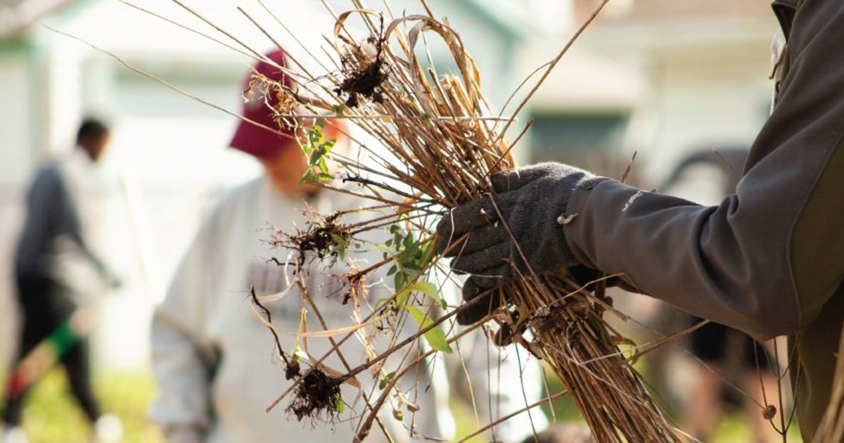 KEEP INDIANAPOLIS BEAUTIFUL: TREE PLANTING in Indianapolis at