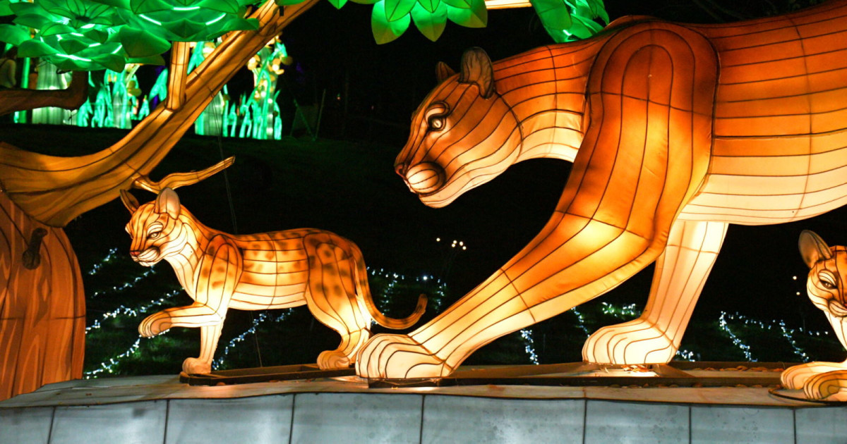 Glowing Wild in Denver at Denver Zoo