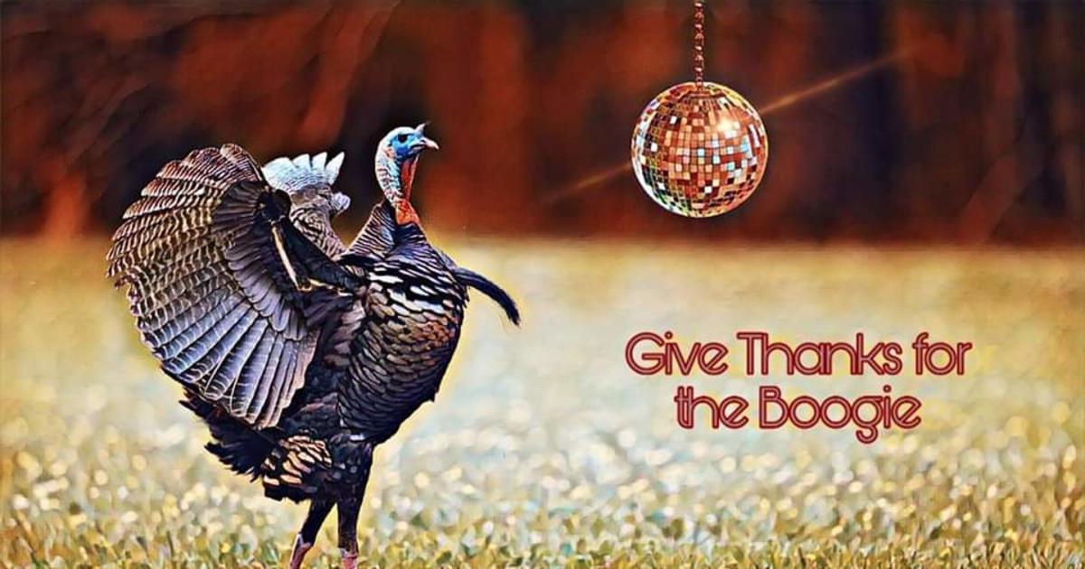 Nightchaser - Give Thanks for The Boogie Thankskgiving Eve in St.