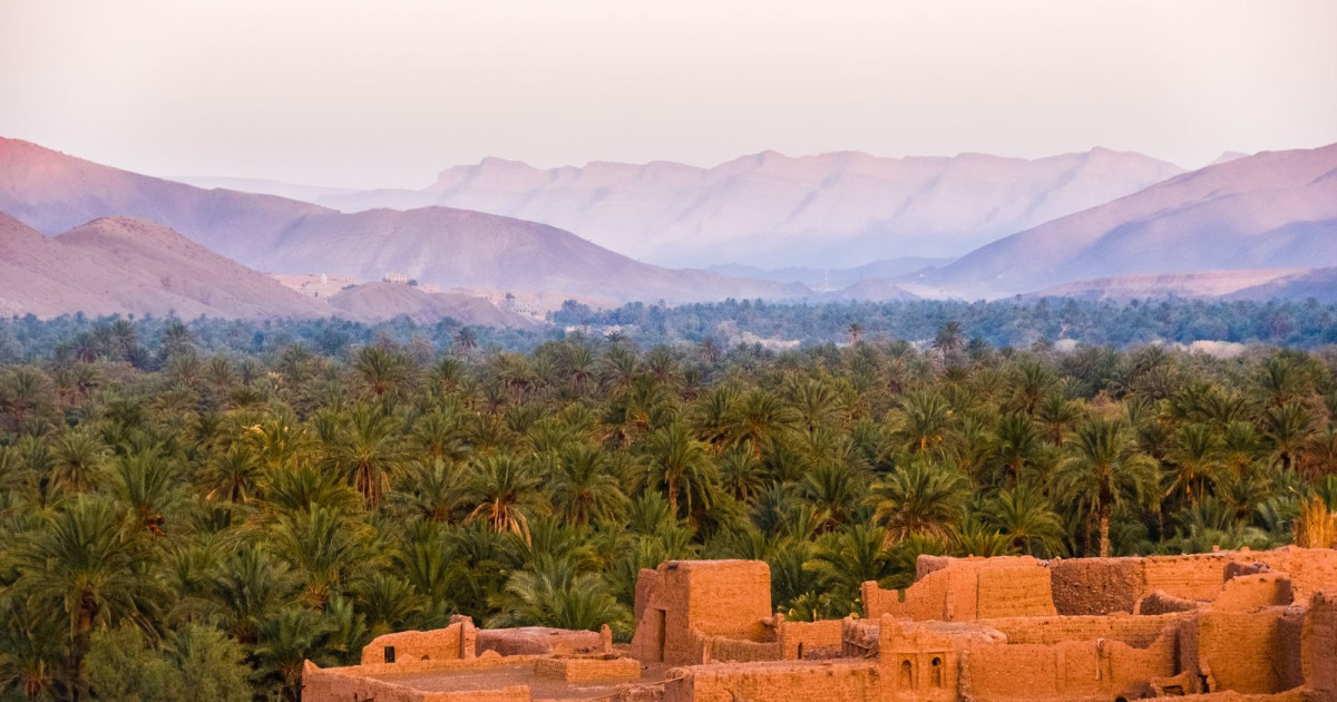 Making Amate: Bark Paper of Aztec & Maya in Austin at Austin Public